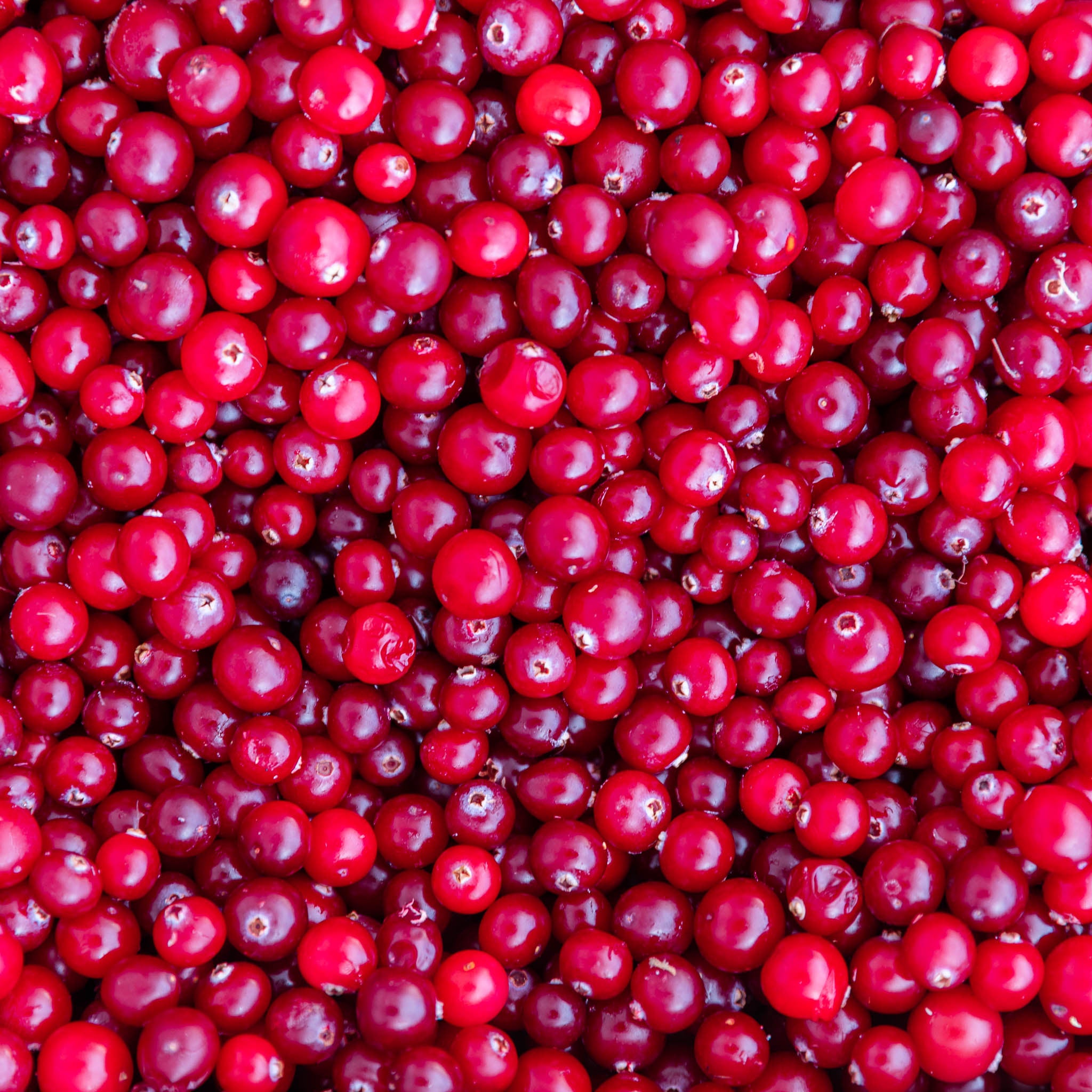 100 % suomalaiset karpalot edullisesti Astikkalasta - klikkaa ja nouda